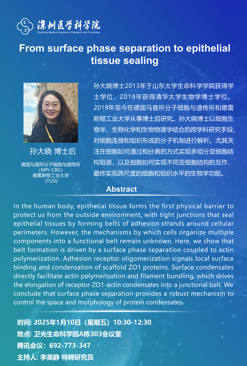 From surface phase separation to epithelial tissue sealing-Shenzhen Bay ...